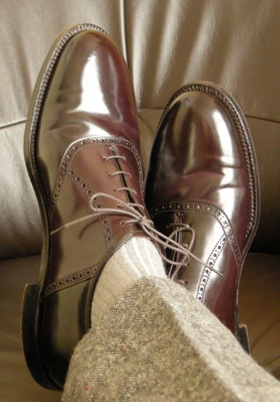 Cordovan Shell Overview – Pure Polish Products
